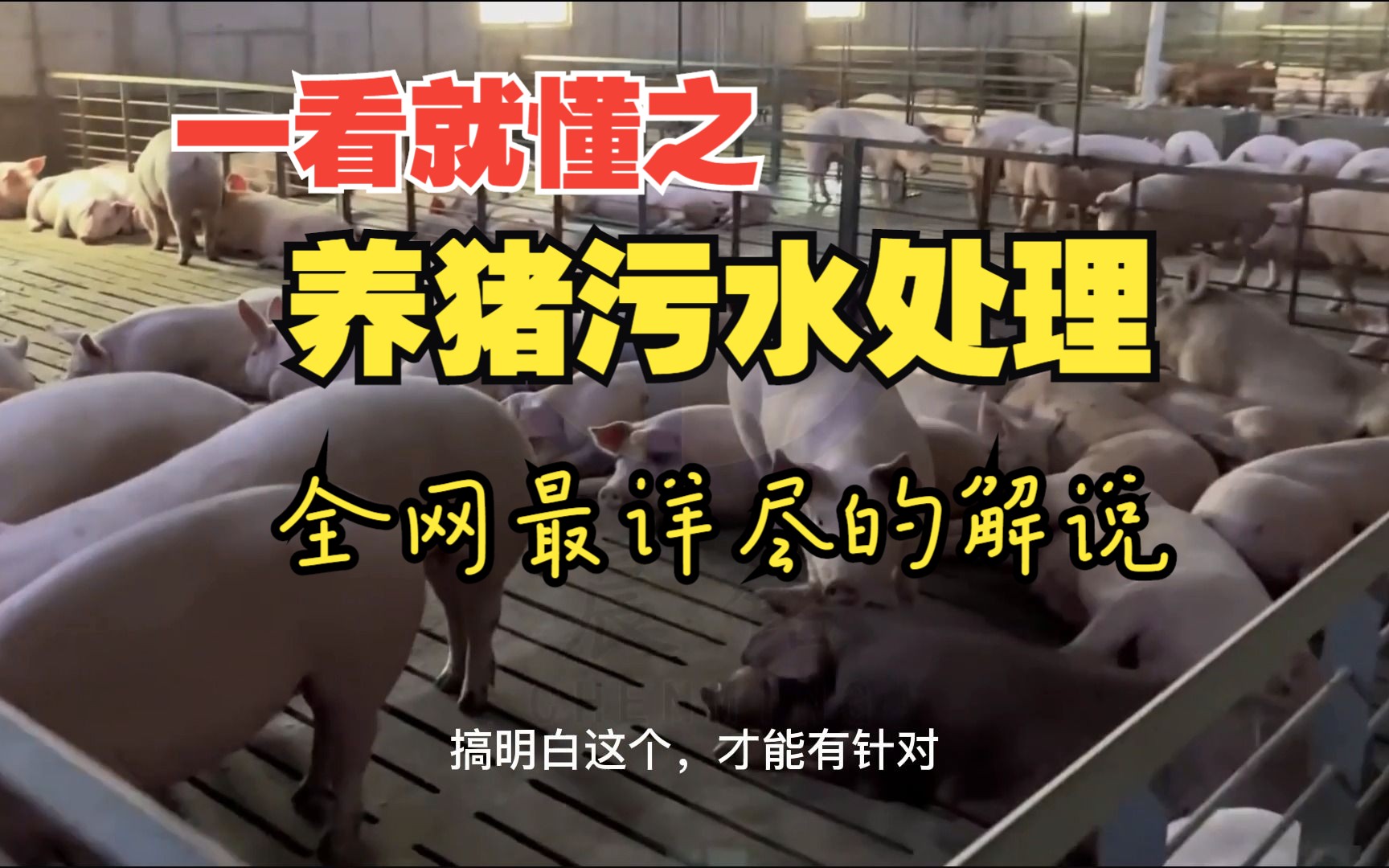 养猪污水处理