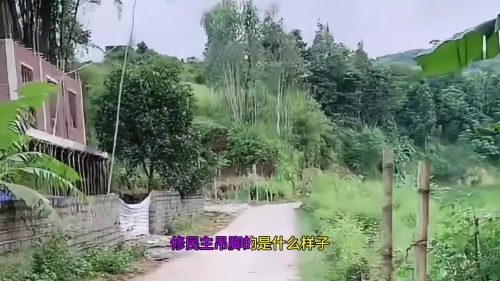 小叔老丈人家的房子,还是比结实的框架结构