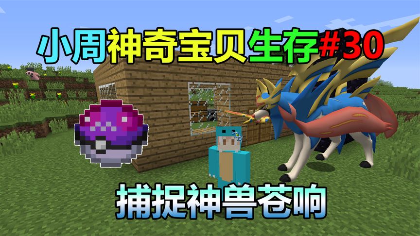 我的世界小周神奇宝贝生存30:捕捉神兽苍响!