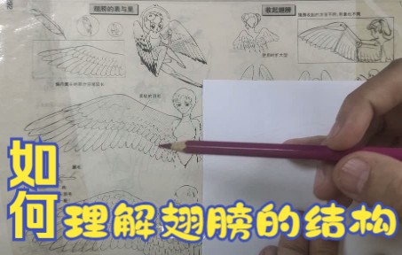 经典漫画教材解读0207 天使 如何理解翅膀的结构