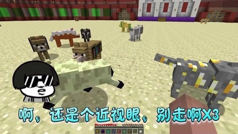 我的世界:万物皆可狼化,各种材质憨憨狼集合