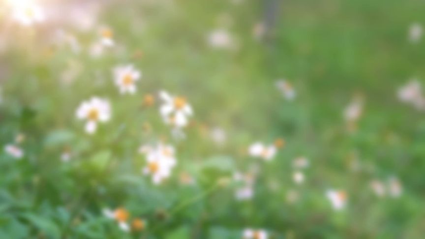 防性侵、护花蕾,法治护航少年的你#普法宣传 #教育 #文明校园