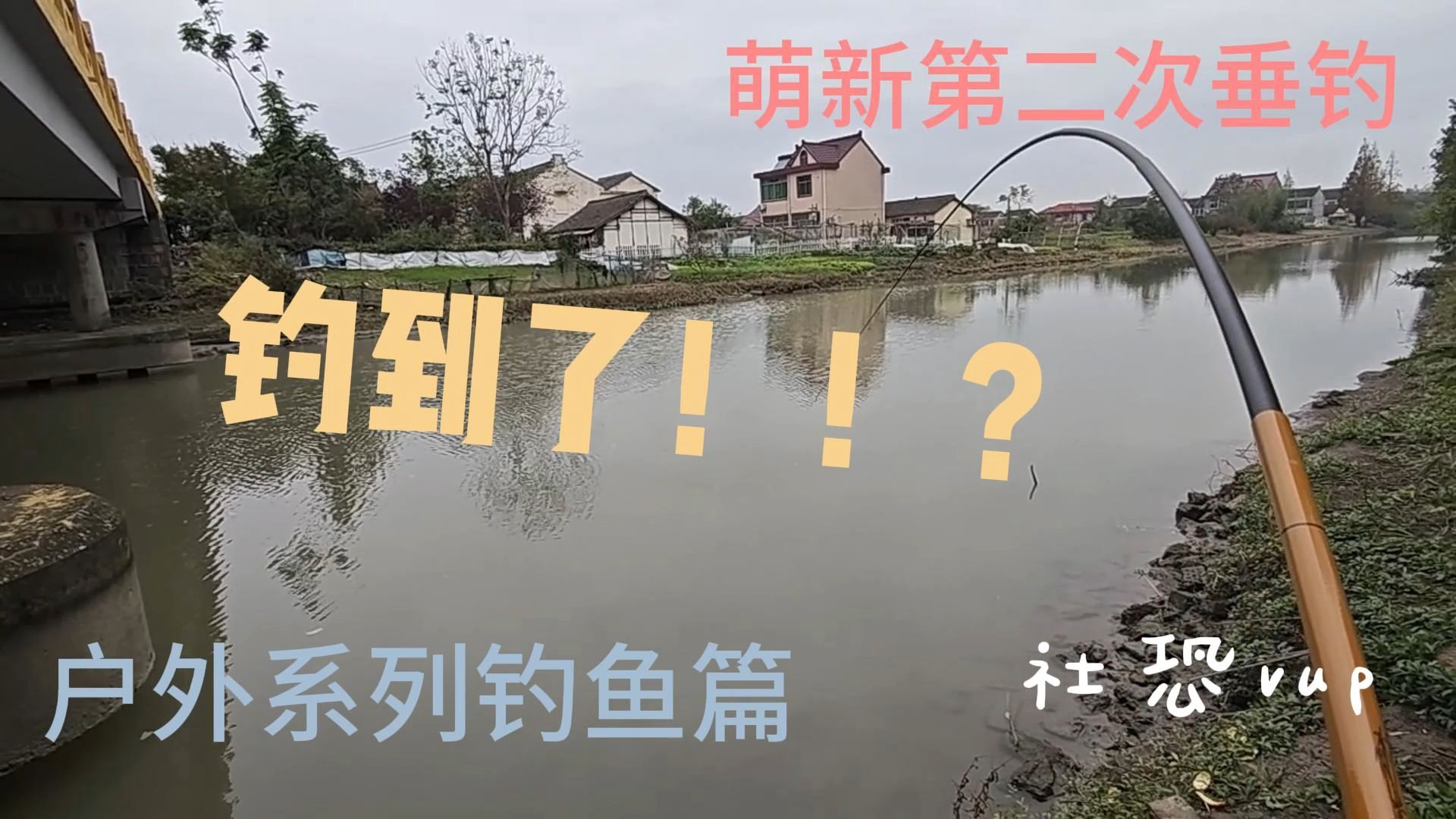 vup第二天就钓到鱼了!?!