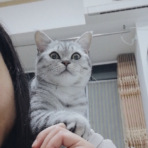 爱泡澡的面条 