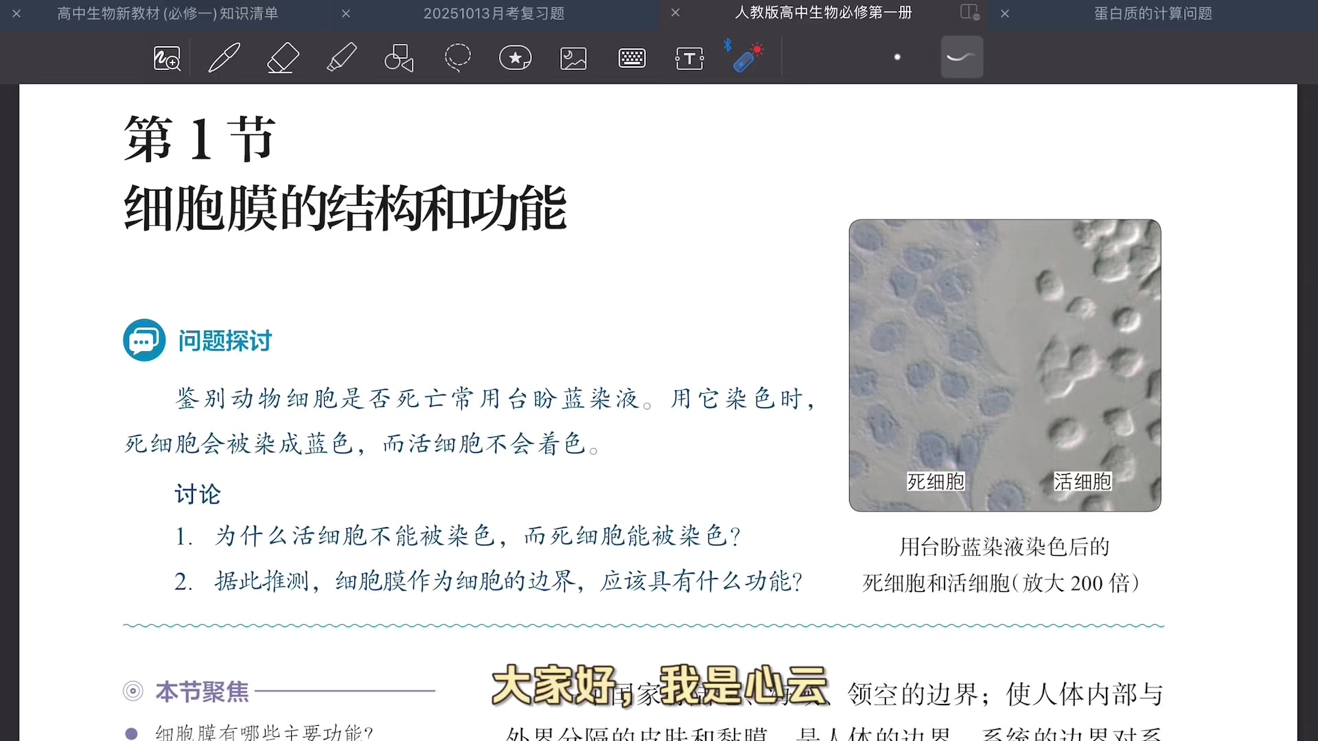 一个视频就够!浙大学姐带你拿下细胞膜 在学校没听懂?看完这期视频就...