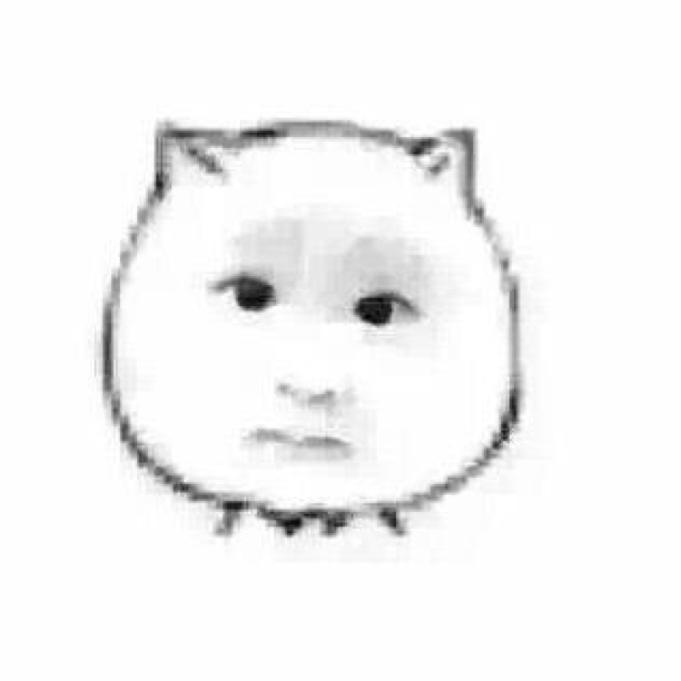 猪颜辞镜花辞树 