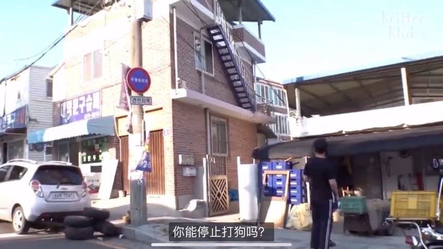 小狗不停惨叫怀疑被人虐待,真正原因谁也想不到