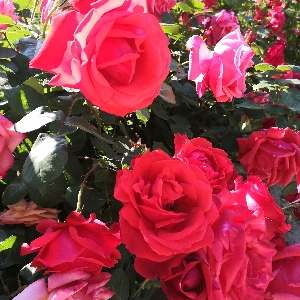 日子就得这样过 