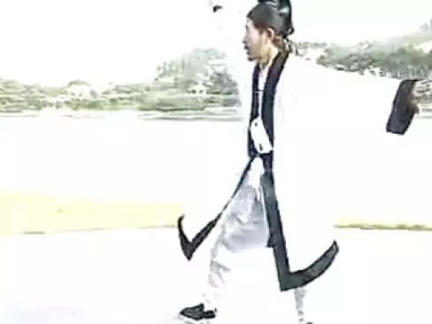游明生讲解武当松溪白虹剑