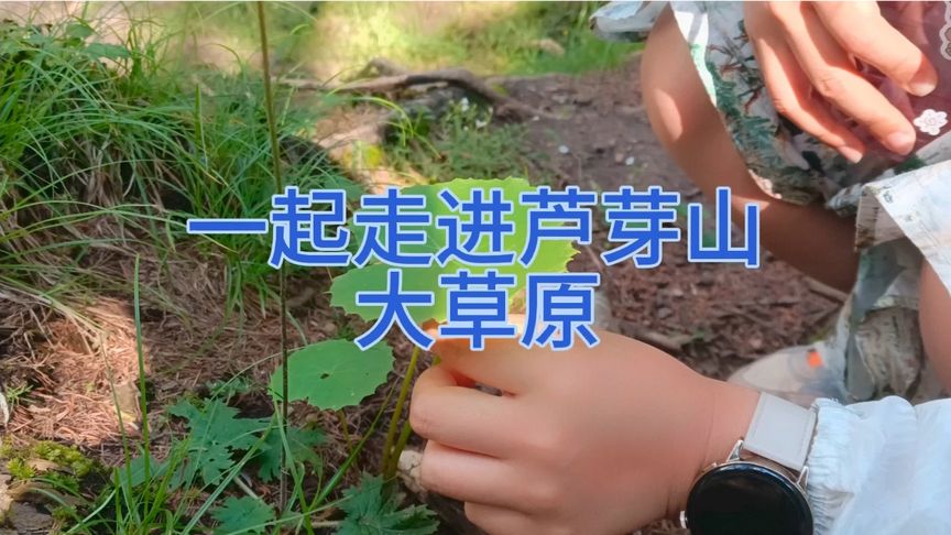 一起感受森林和草原的乐趣。