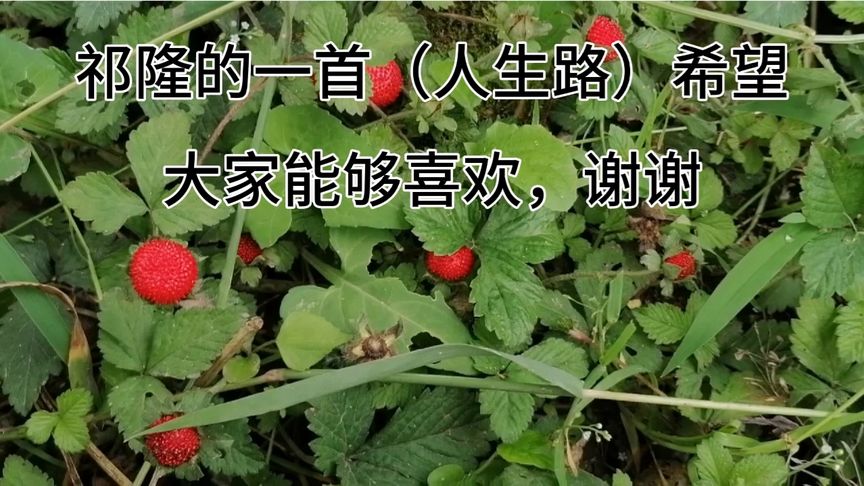 曾经彷徨过哭过也笑过,祁隆的一首(人生路)希望大家能够喜欢