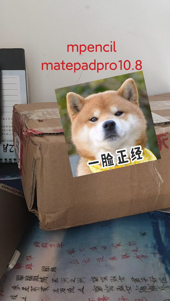 闲鱼入手matepadpro8+256mpencil键盘2700