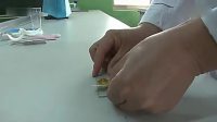实验一观察洋葱表皮细胞-国语高清