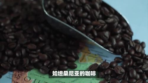 坦桑尼亚咖啡品质如何?乞力马扎罗山中之咖啡树吗?