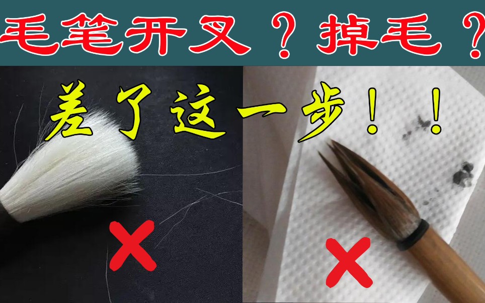 正确开笔,拒绝毛笔开叉,掉毛!