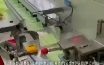 #枕式包装机 #全自动枕式包装机 #全自动包装机生产厂家 一人即可...