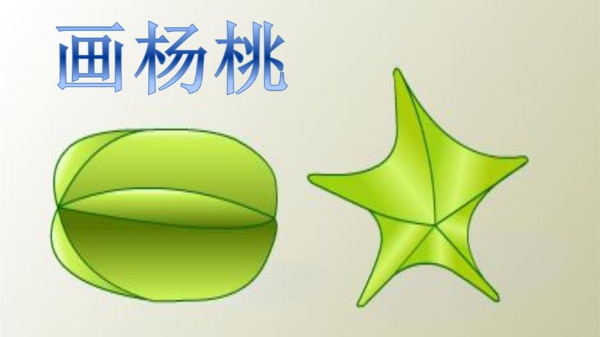 老师让同学真切地感悟到从不同的角度看杨桃,结果的确不一样