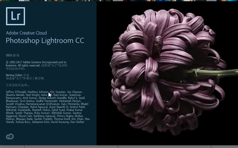 lr零基础入门教程