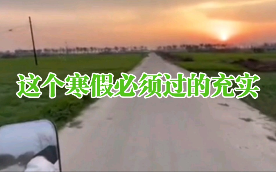 这个寒假怎么过?#大学生寒假怎么过