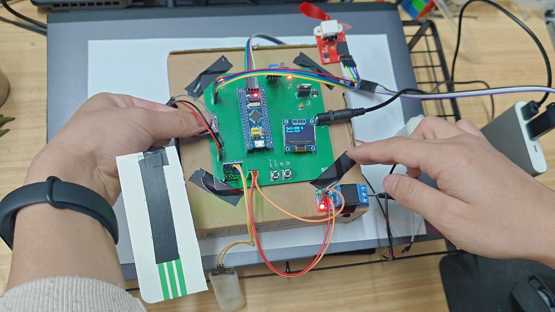 免费开源!基于stm32的智能植物养护系统,可实现多种功能的盆栽养护...