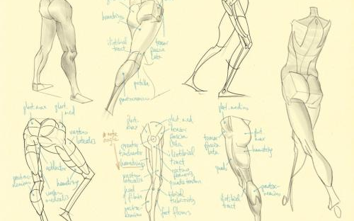 人物角色设计之大腿的画法教程|数码绘 SAI鼠绘 漫画人物绘画 动漫...