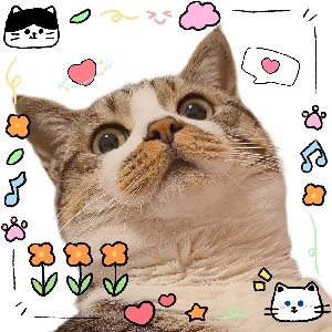 狸花在裙角 