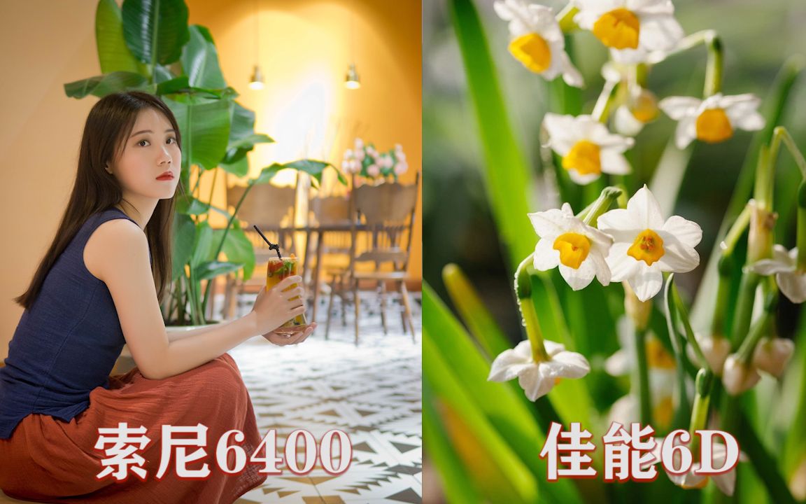 我也卖掉了单反,微单时代是否全面来临?