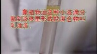悬浊液、乳浊液和溶液