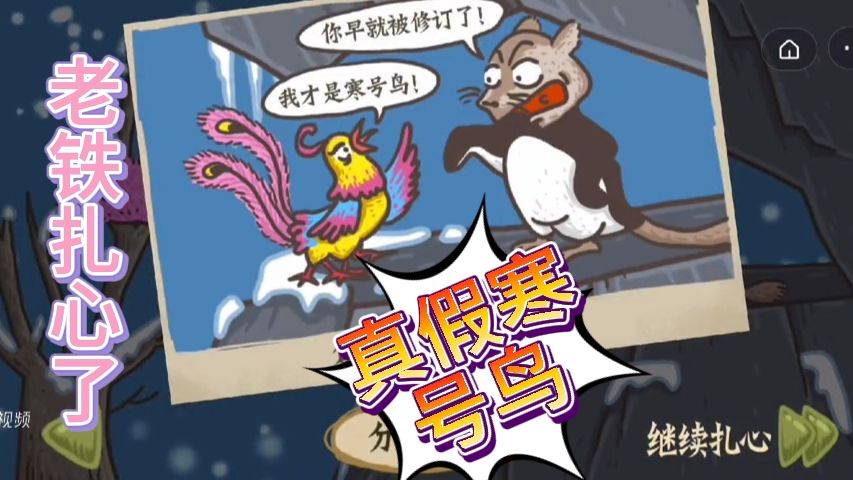 老铁扎心了,寒号鸟居然不是鸟,快来看看真正的寒号鸟长啥样