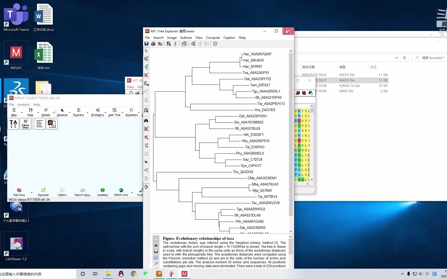 paml软件进行祖先酶序列重建极简教程