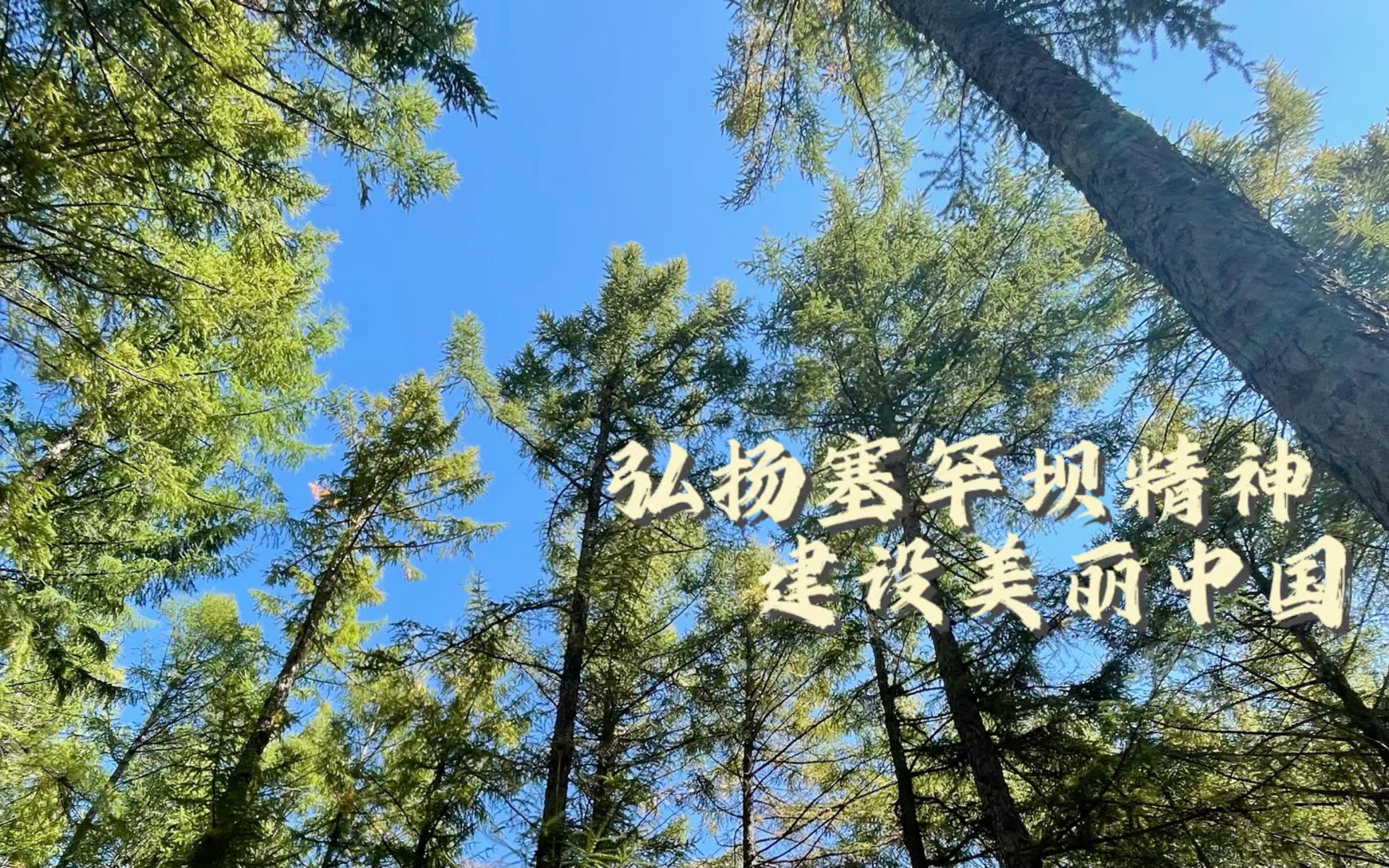 第三节 弘扬塞罕坝精神 建设美丽中国