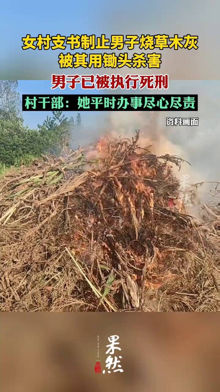 女村支书制止男子烧草木灰被其杀害(新京报)
