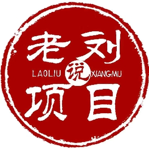 老刘说项目S 