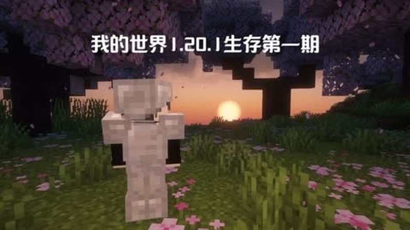 我的世界1.20.1生存第一期