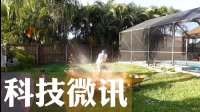 【科技微讯】当西瓜 & 椰子遇上「熔化的食盐」,会剧烈爆炸
