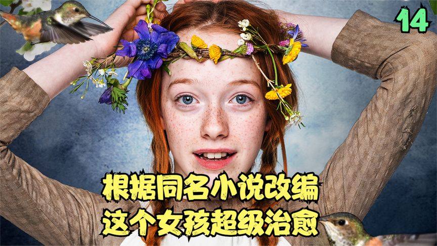 小小安妮第二季。看安妮如何与强盗斗智斗勇