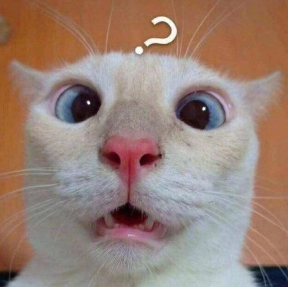 疑问猫 