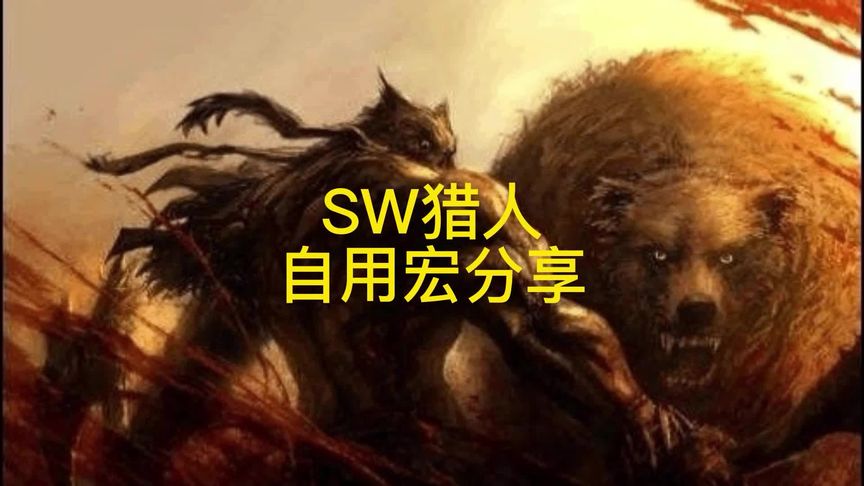 SW猎人自用宏分享#魔兽世界怀旧服 #TBC猎人#燃烧的远征