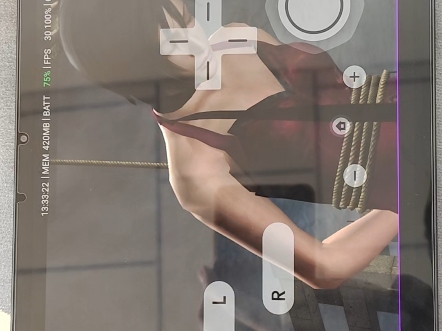 红魔平板,第三代晓龙8领先版处理器,用Wii模拟器玩生化危机4