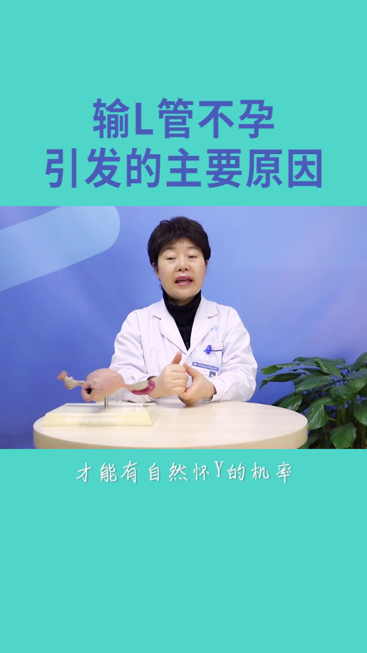 女性为什么会得输卵管性不孕症?
