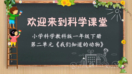 【停课不停学】小学科学一年级下册《我们知道的动物、校园里的动物》