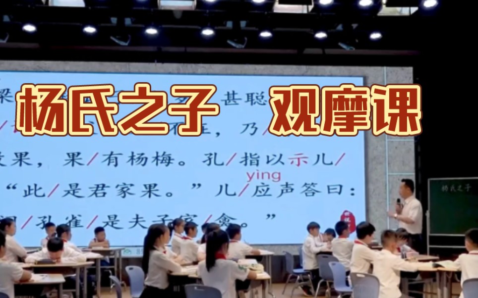 《杨氏之子》公开课【特级教师 观摩课】含课件教案