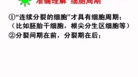 细胞增殖(一)细胞周期及染色体、DNA关系