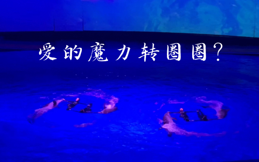 重庆融创海世界-海豚表演vlog-23/5/20