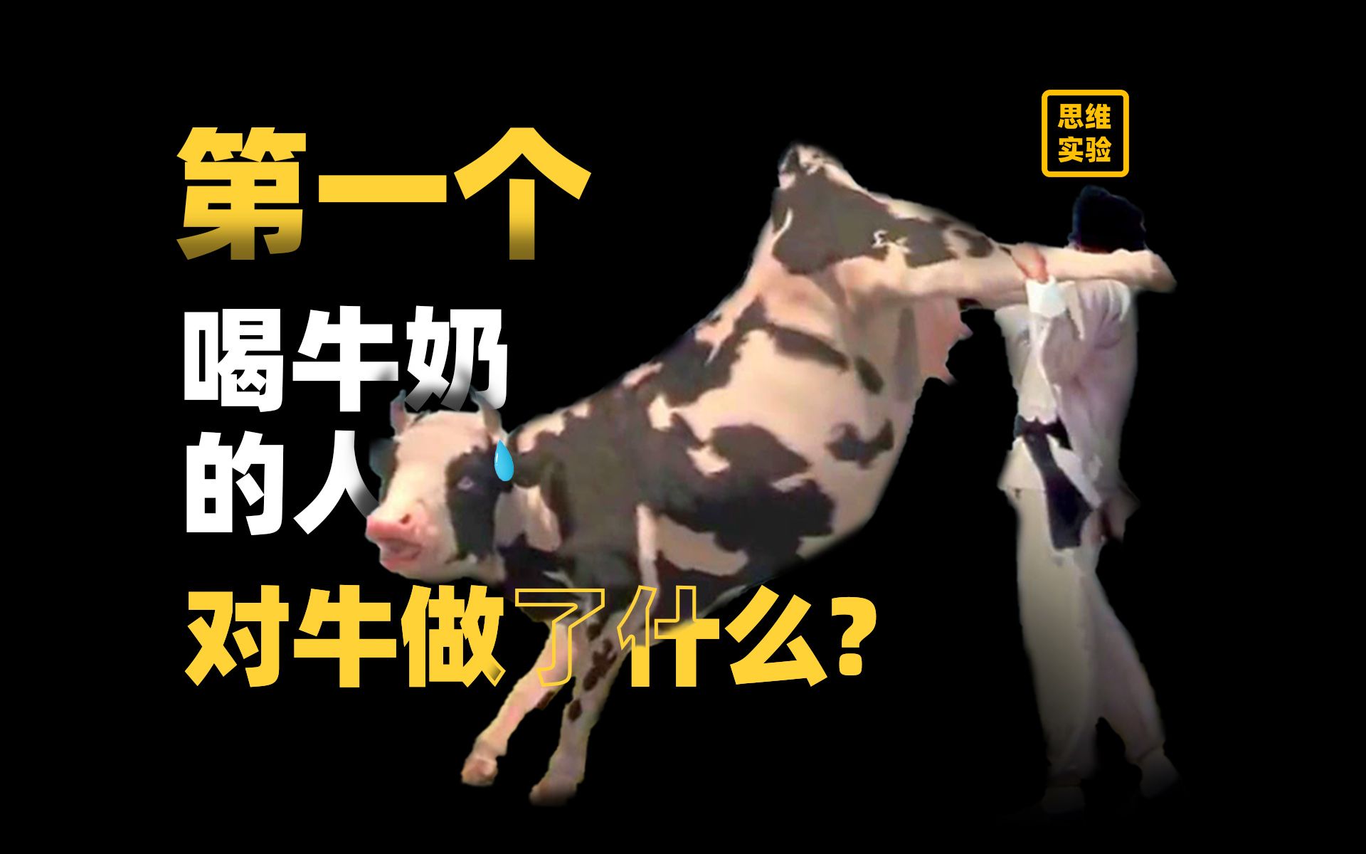 人与奶的斗争 如何练成唯一成年了还会喝奶的动物【思维+】