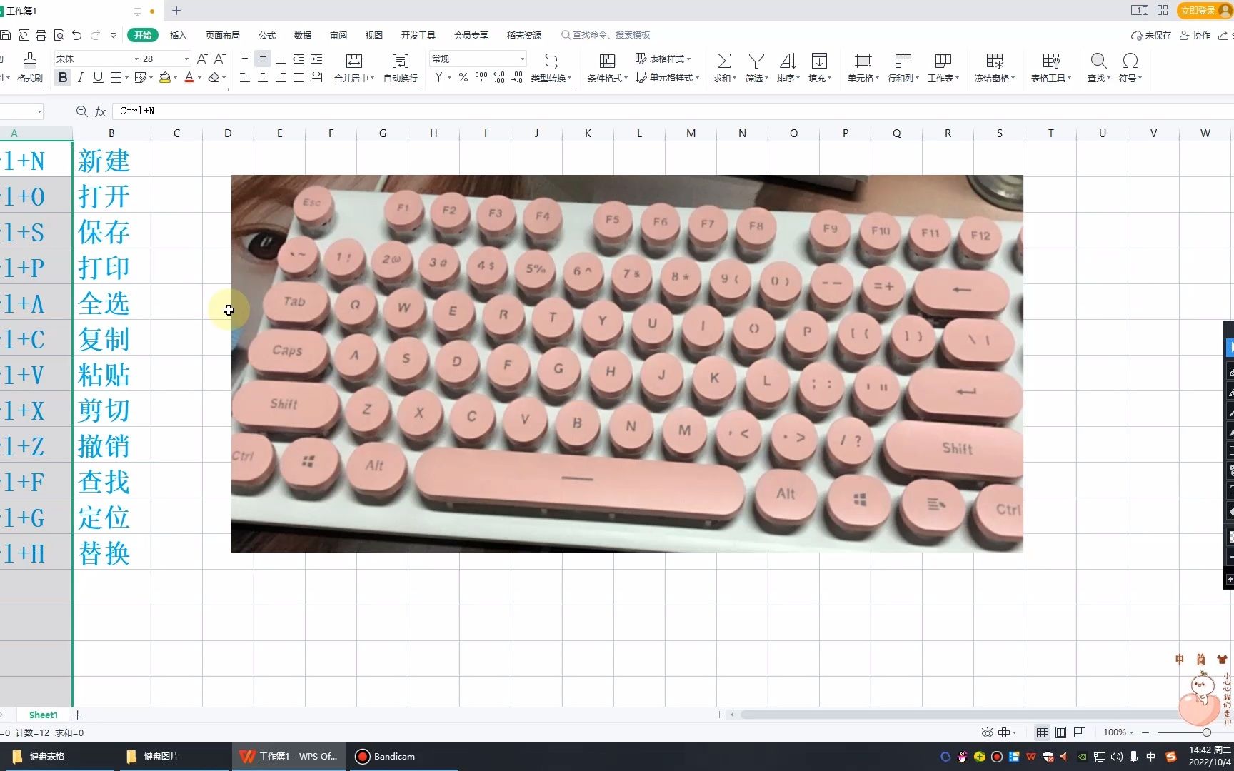 零基础入门学习办公软件,制作Word文档,不会电脑的看过来。