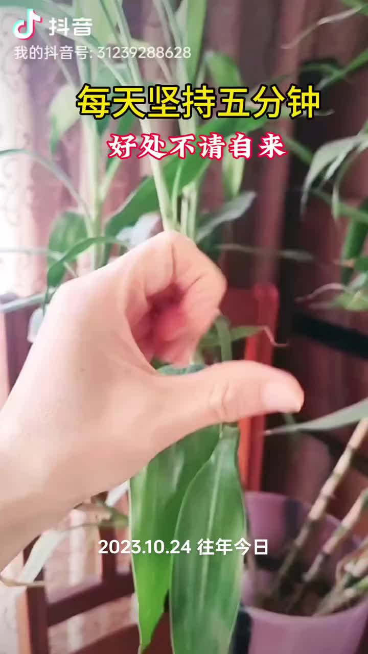 #手指操作用大 #手指锻炼 ##教你一招 #小动作大作用 #坚持锻炼给...