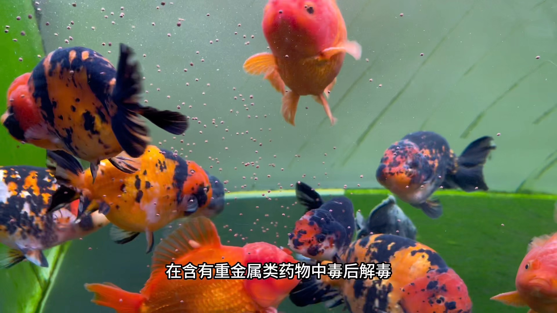vc的作用和用法
