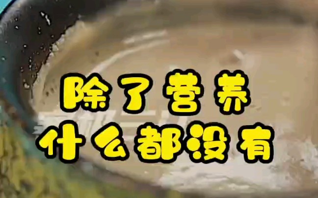 寒极三江稻米皮芽粉到底有什么功效?