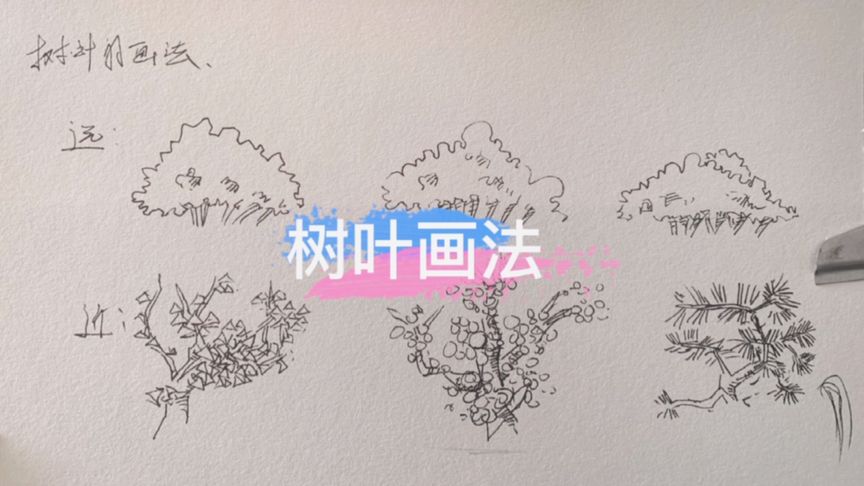 风景速写教程,树叶的画法,钢笔速写基本元素